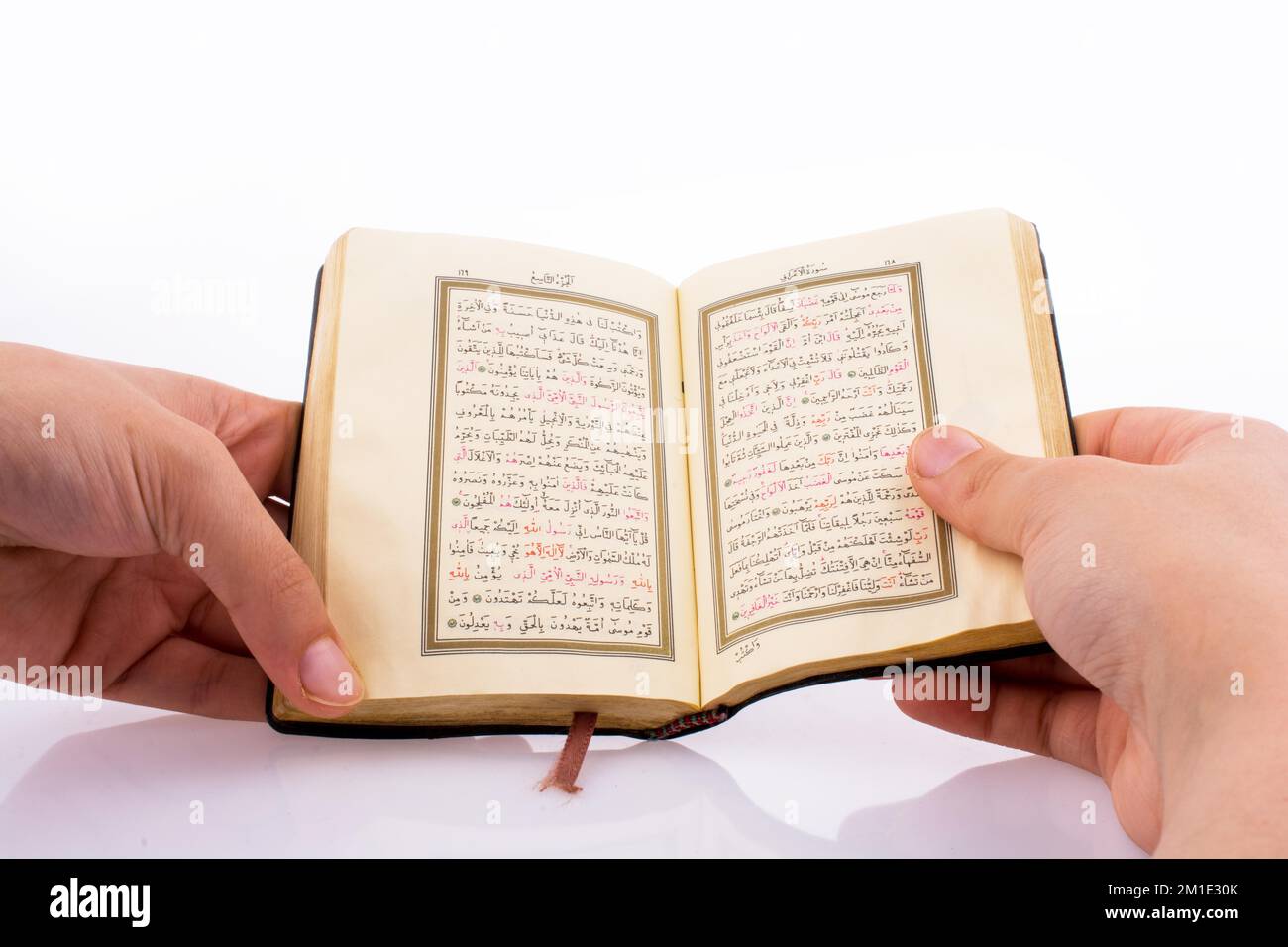 Hand holding The Holy Quran on a white background Stock Photo - Alamy
