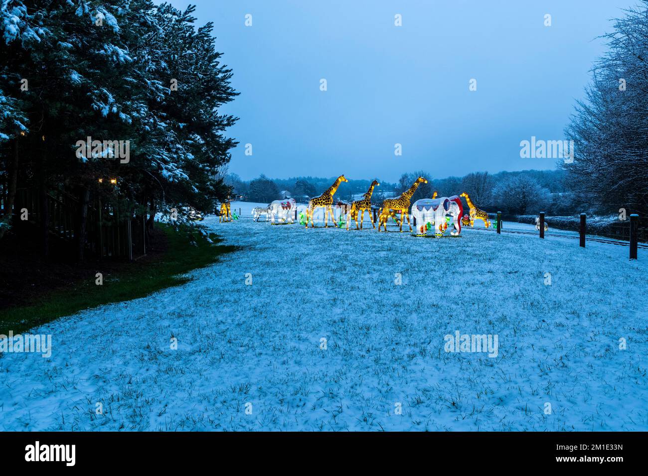 Christmas at Perrygrove Railway, Coleford Stock Photo - Alamy
