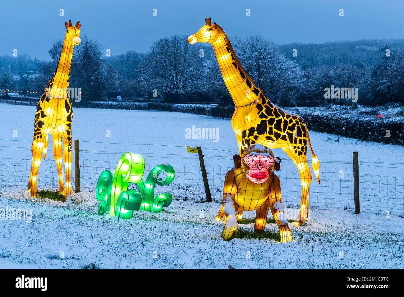 Christmas at Perrygrove Railway, Coleford Stock Photo - Alamy