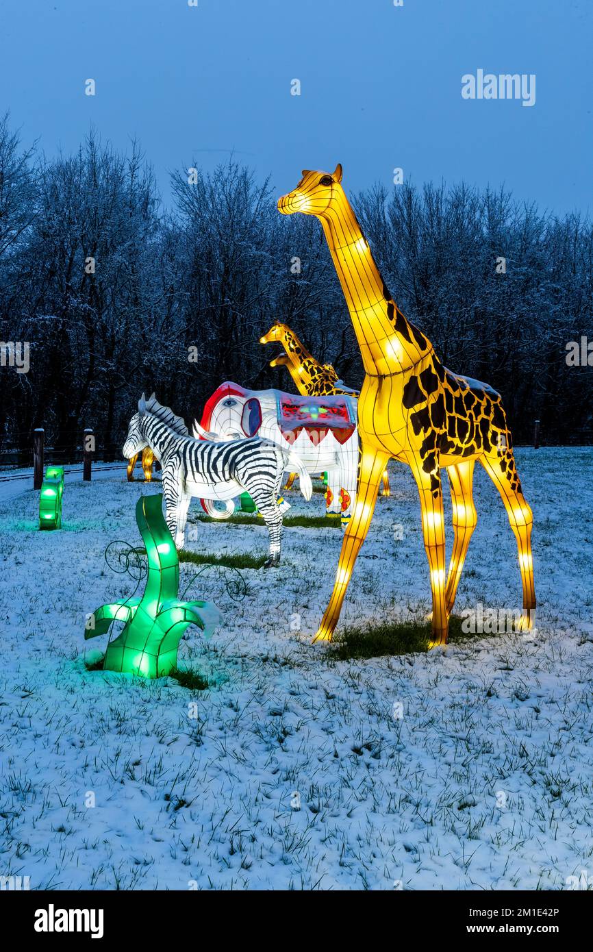 Christmas at Perrygrove Railway, Coleford Stock Photo - Alamy