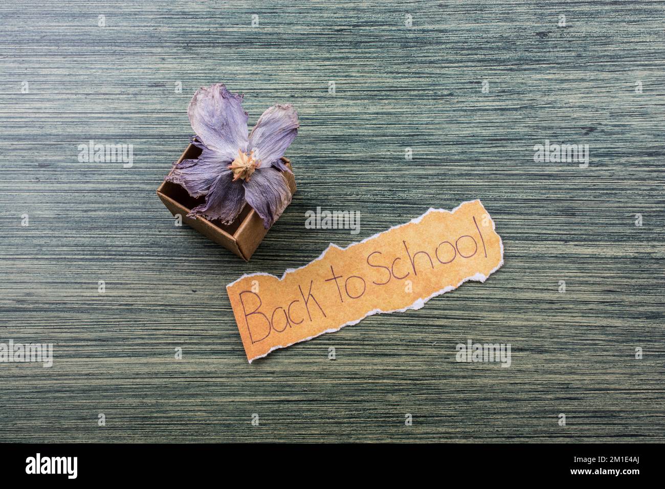 Flower and back to school wording Stock Photo - Alamy