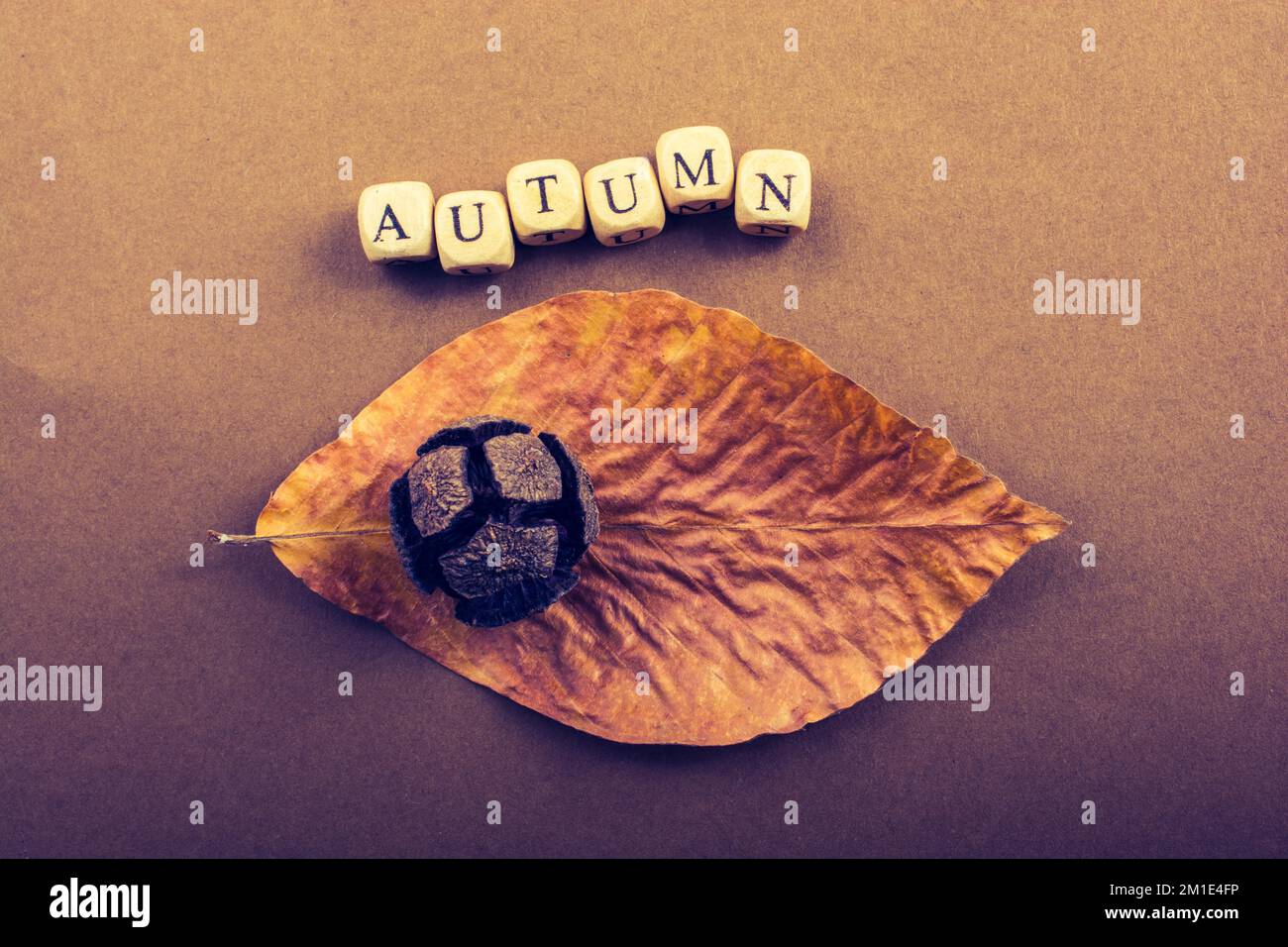Autumn or fall composition or concept and word Autumn Stock Photo - Alamy