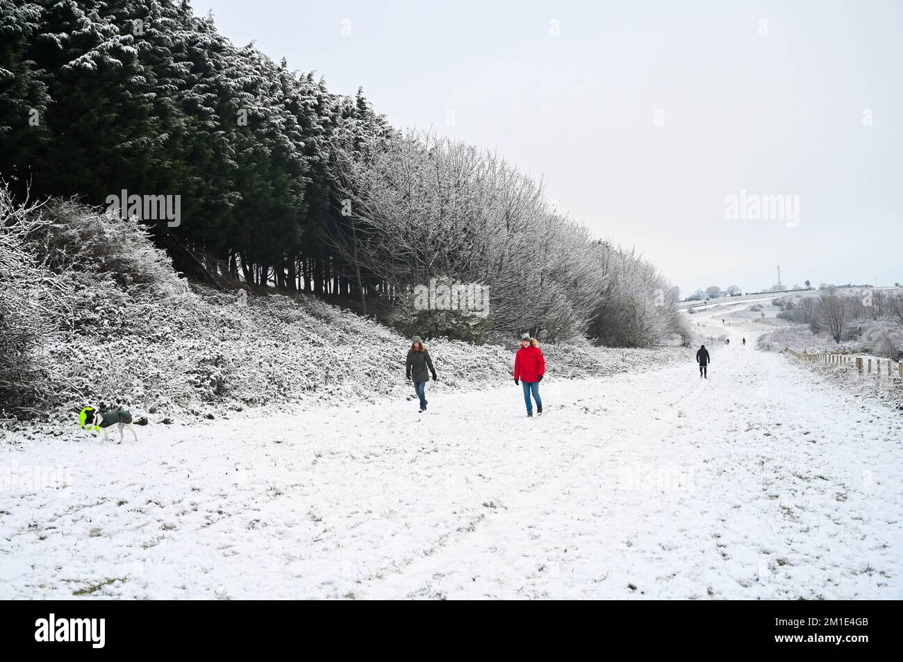 Britain england english uk british sussex 2022 brighton winter hi-res ...