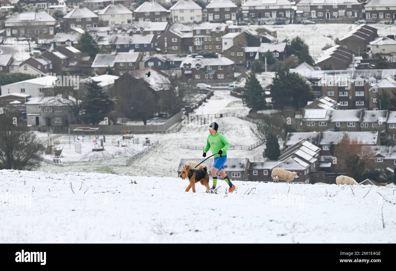 Dog days out hi-res stock photography and images - Alamy