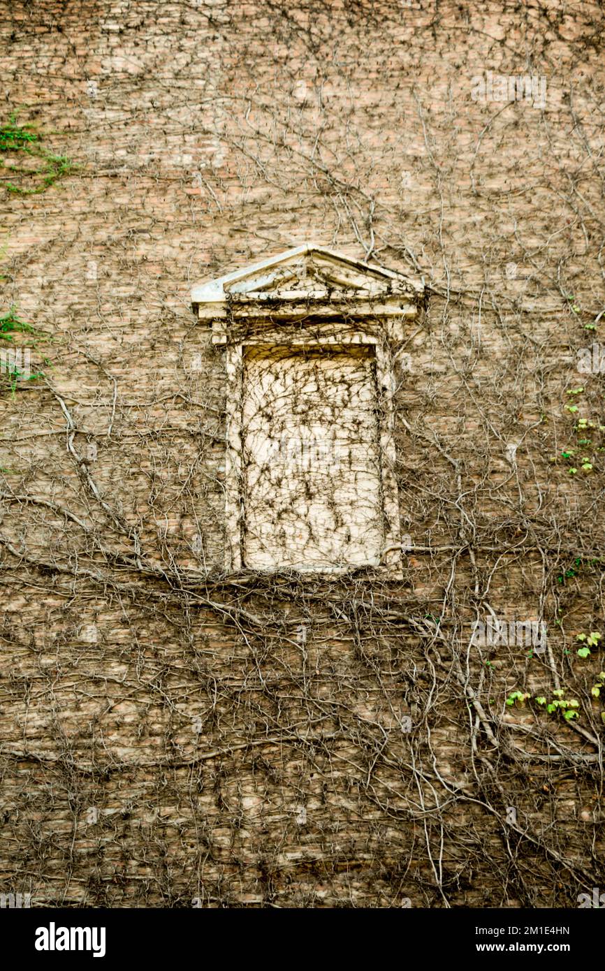 Old window Architecture from Tbilisi Stock Photo - Alamy