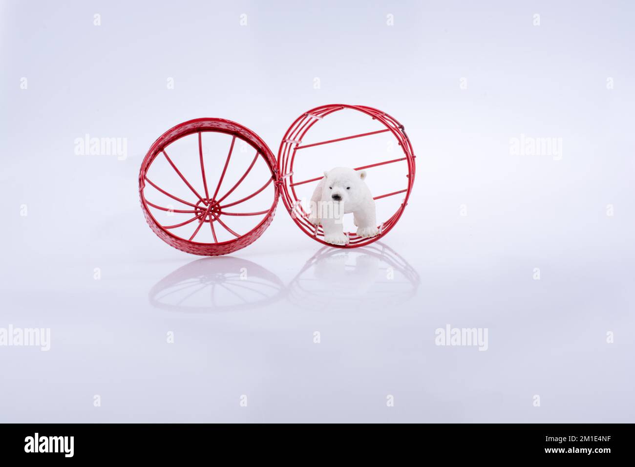 Open cage hi-res stock photography and images - Alamy