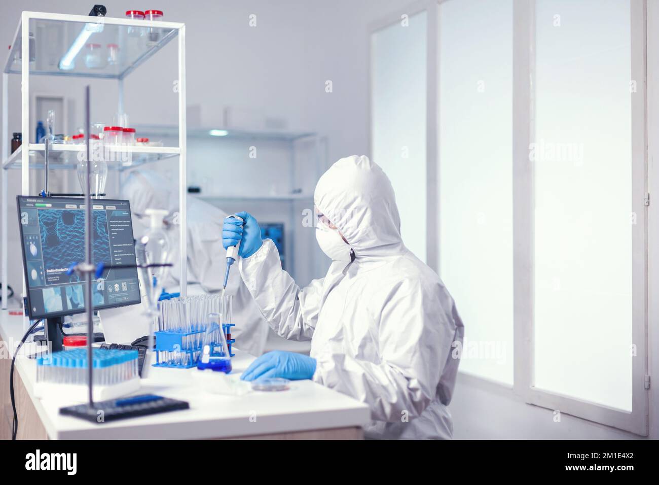 Doctor taking carefully sample from test tube using automatic pipette ...