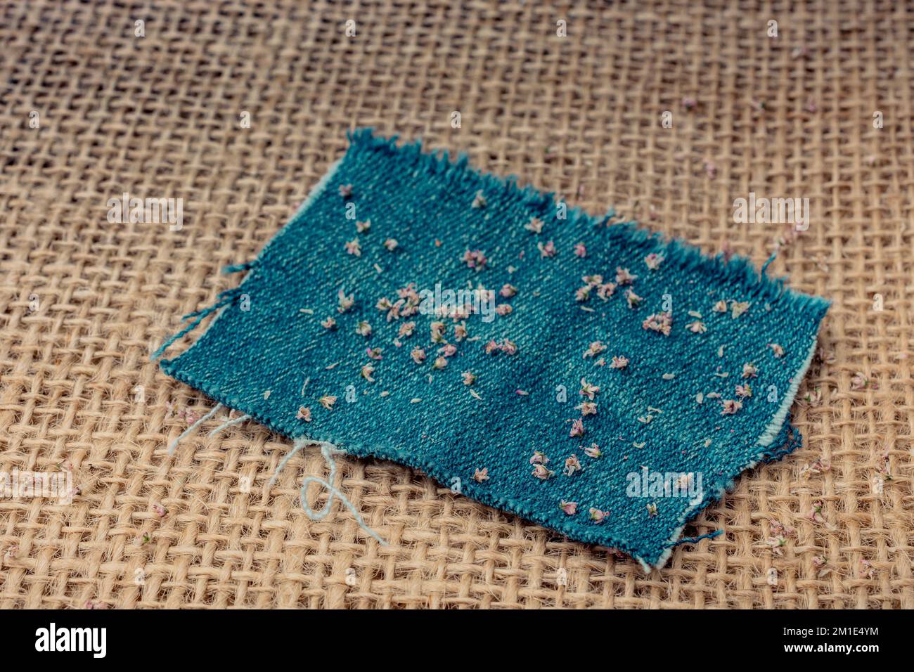Canvas screen hi-res stock photography and images - Alamy