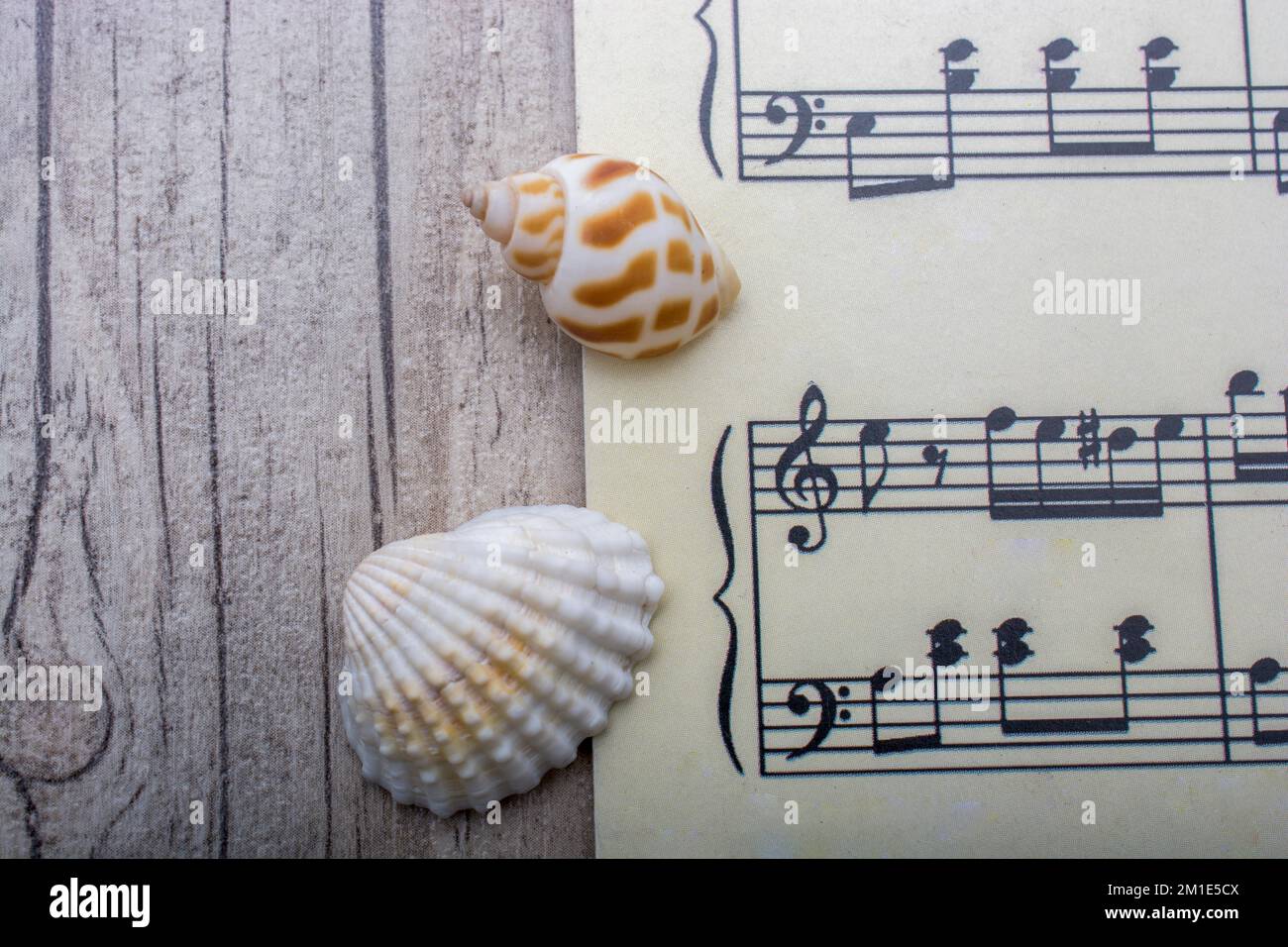 Seashells and paper with some musical notes Stock Photo - Alamy
