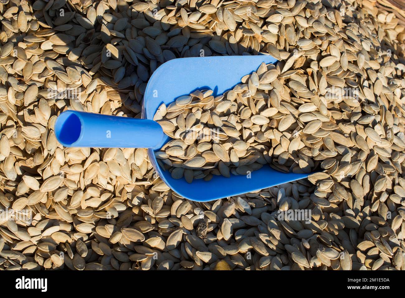 Big been seed hi-res stock photography and images - Alamy