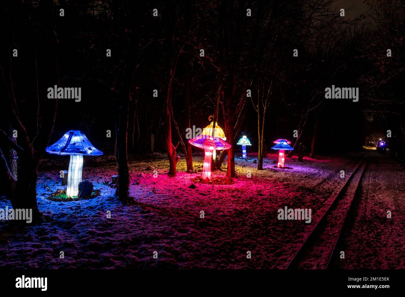 Christmas at Perrygrove Railway, Coleford Stock Photo - Alamy