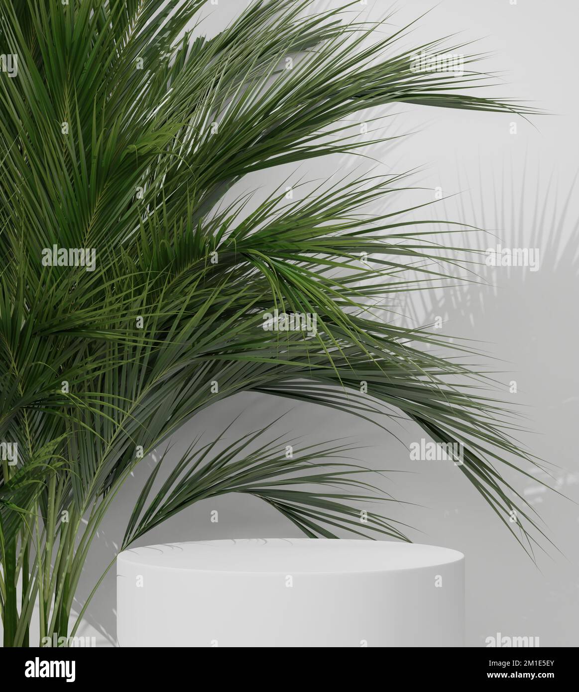 Empty podium Blank product shelf standing backdrop Stock Photo - Alamy