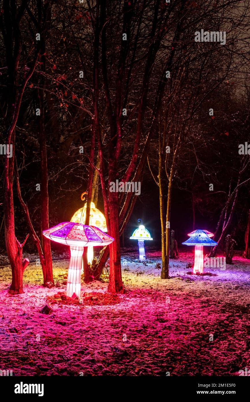 Christmas at Perrygrove Railway, Coleford Stock Photo - Alamy