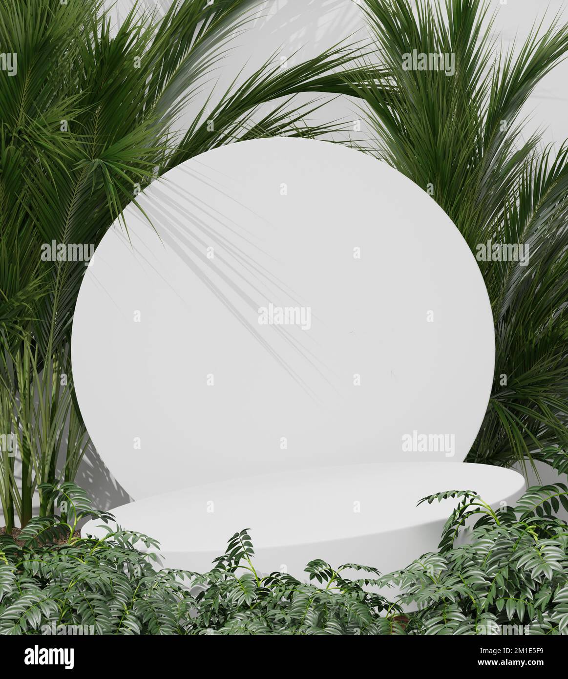 Empty podium Blank product shelf standing backdrop Stock Photo - Alamy