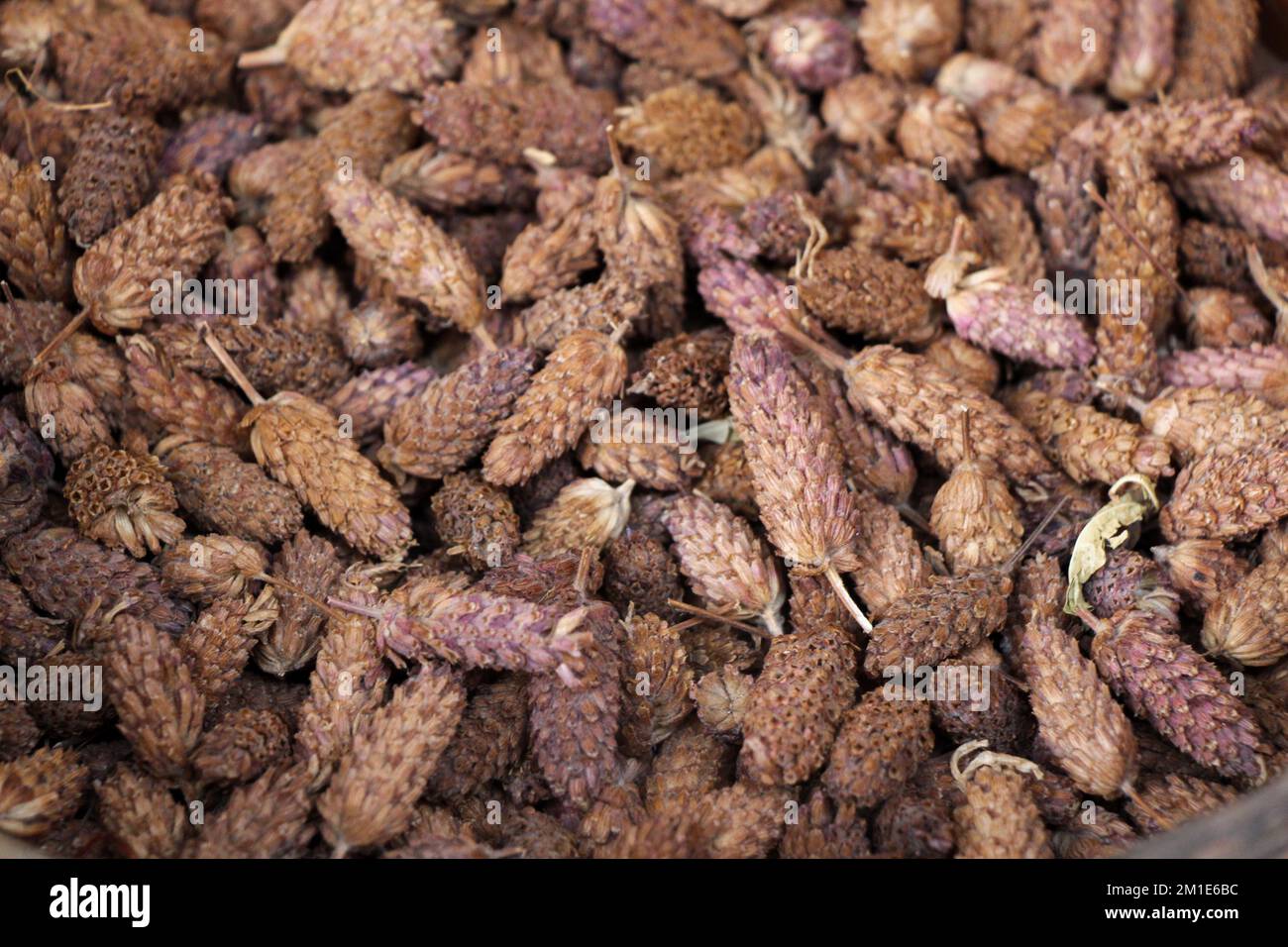 Dry herbal plants as food and remedy Stock Photo - Alamy