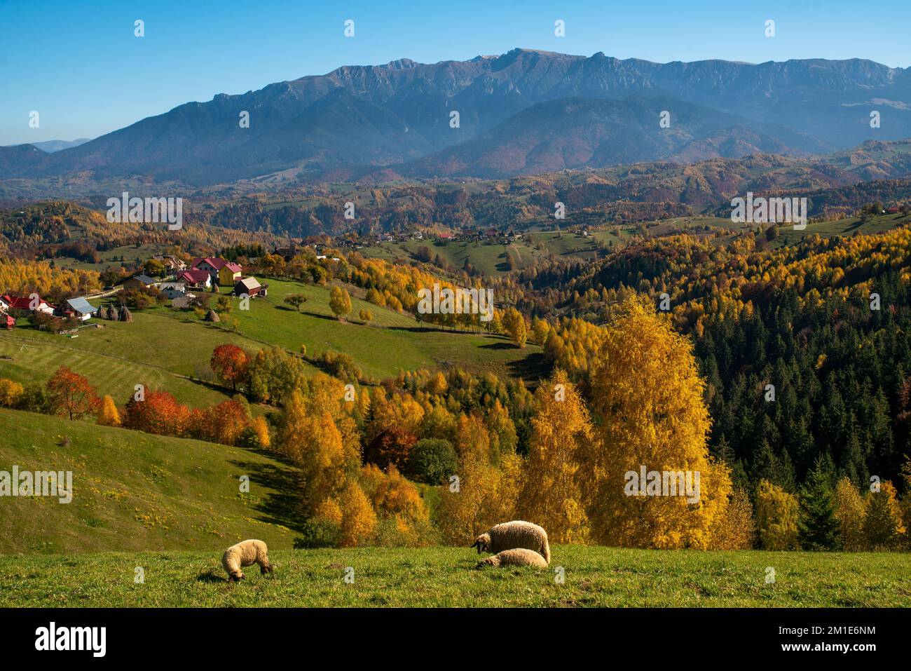 The beautiful autumn landscape of Romanian Transylvania Stock Photo - Alamy