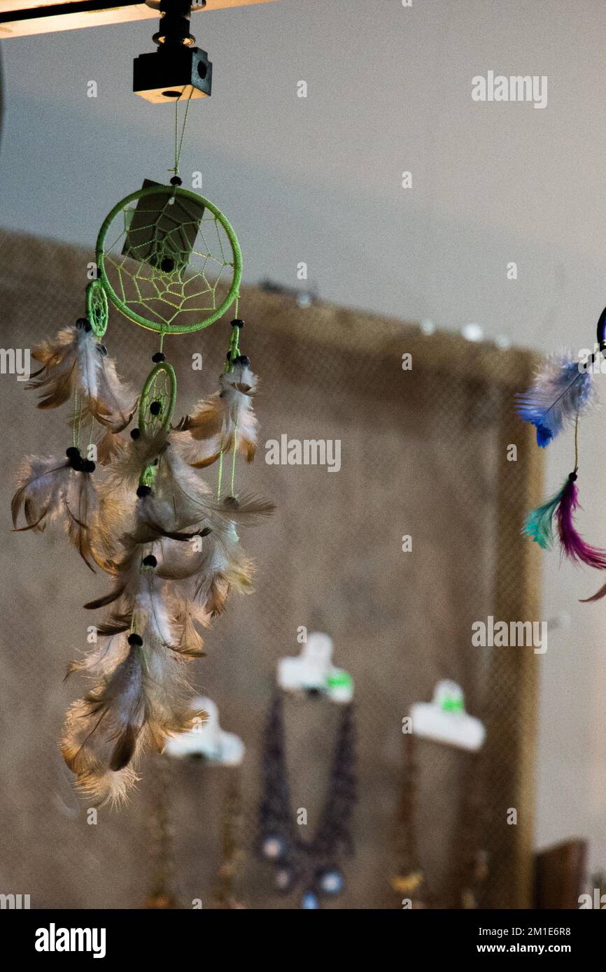 Collection of colorful bird feather for decoration Stock Photo - Alamy