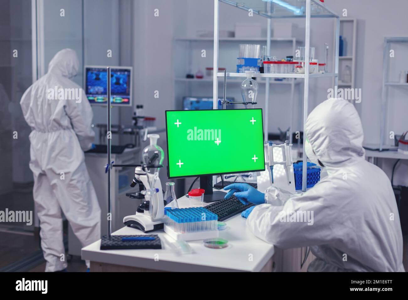 Medic Researcher Typing On Computer Keyboard With Green Screen Team Of Microbiologists Doing