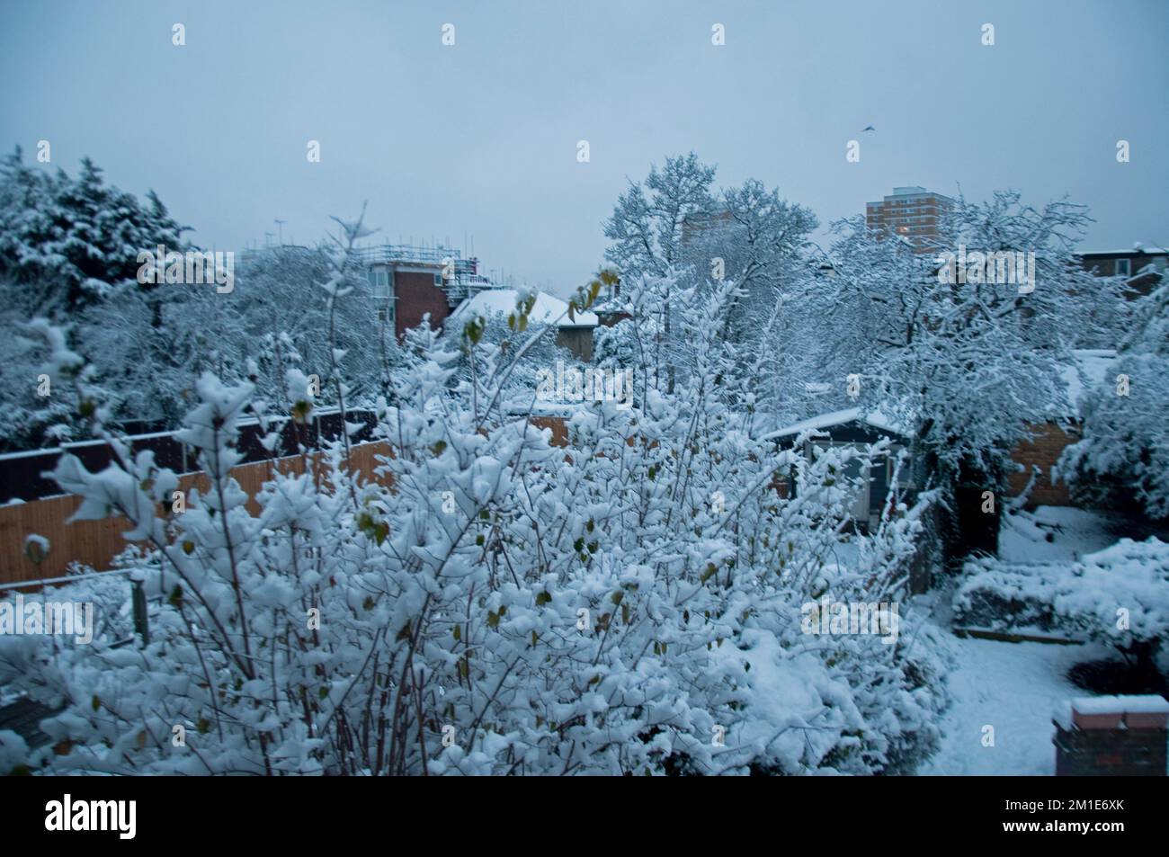 Snow in London - Everything covered in snow, back gardens, London, UK ...