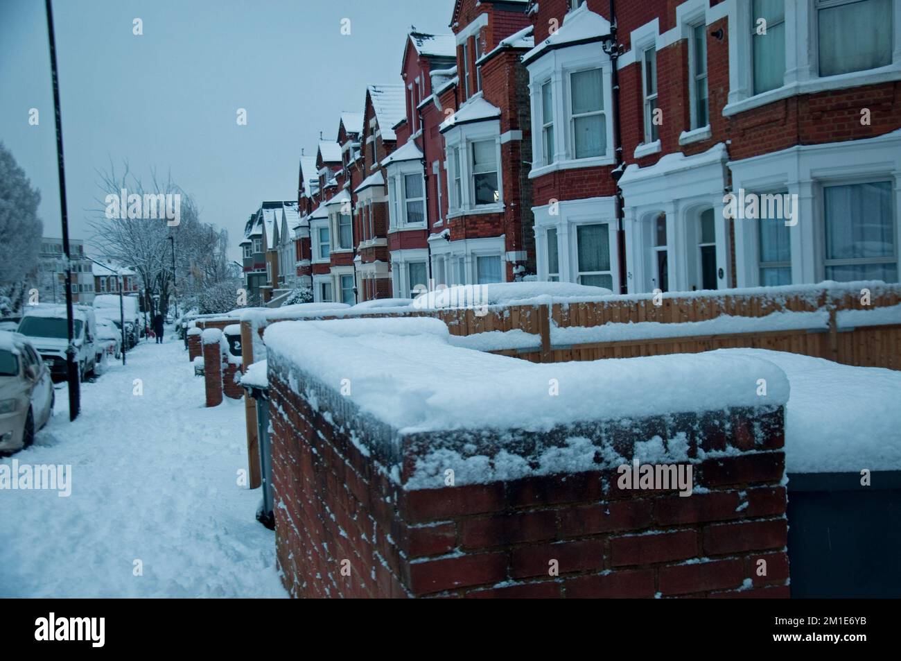 Snow in London - bushes, rooves and cars covered in snow, London, UK ...