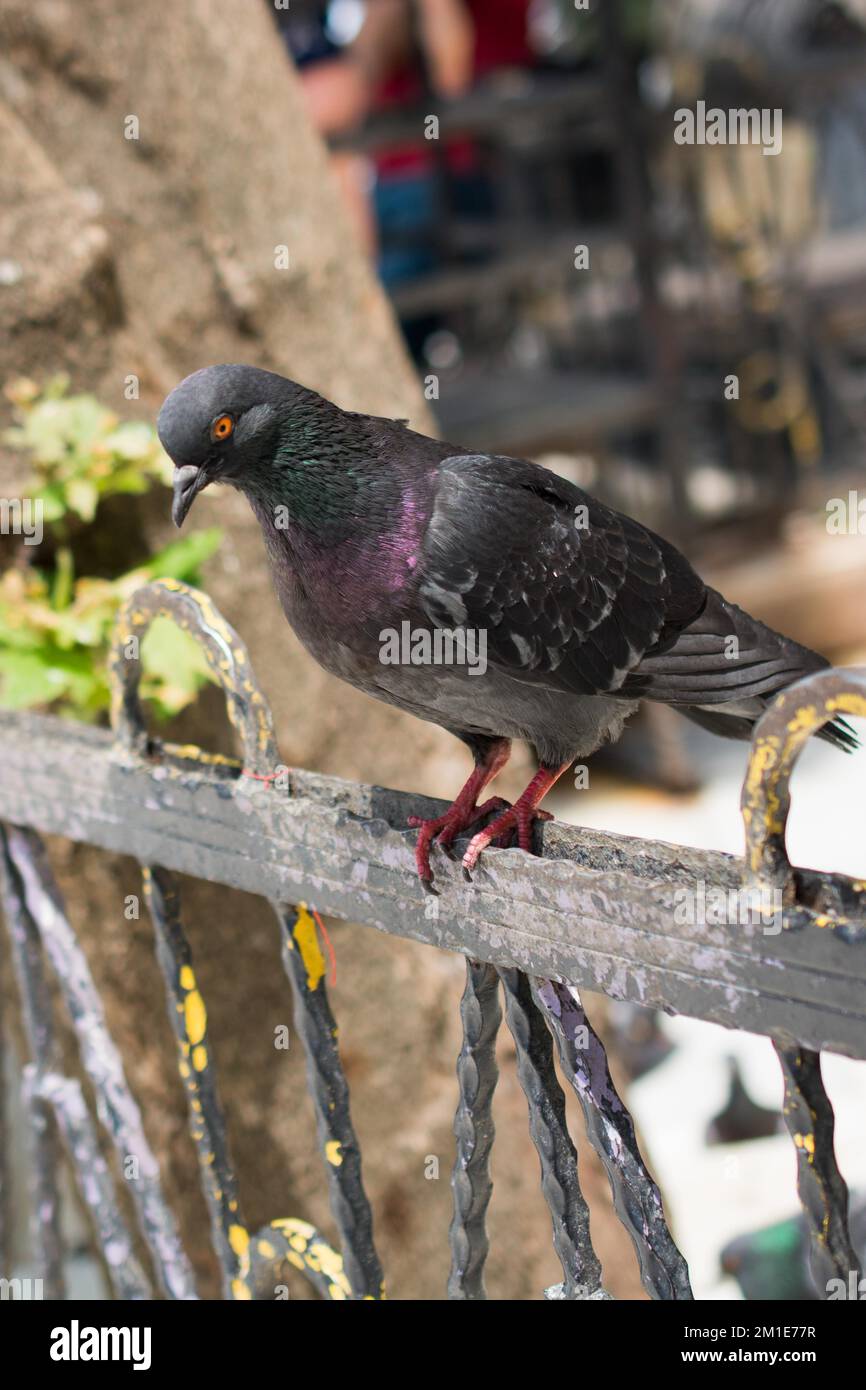 Lonely environment hi-res stock photography and images - Alamy