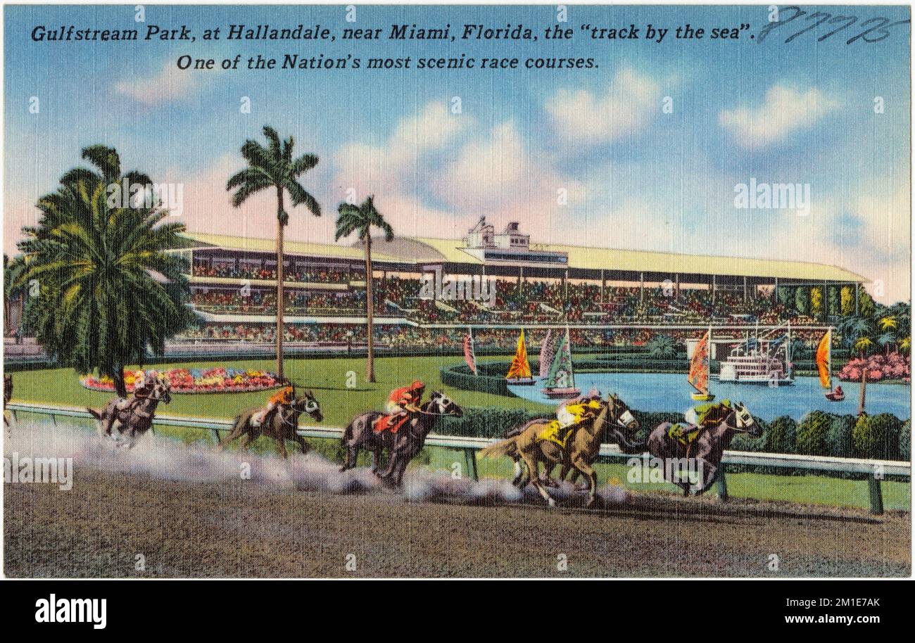 Gulfstream park attractions hi-res stock photography and images - Alamy