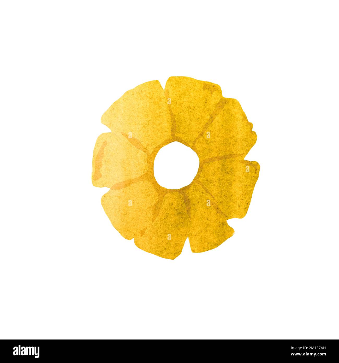 Pineapple yellow slice object collage a watercolor Stock Photo - Alamy
