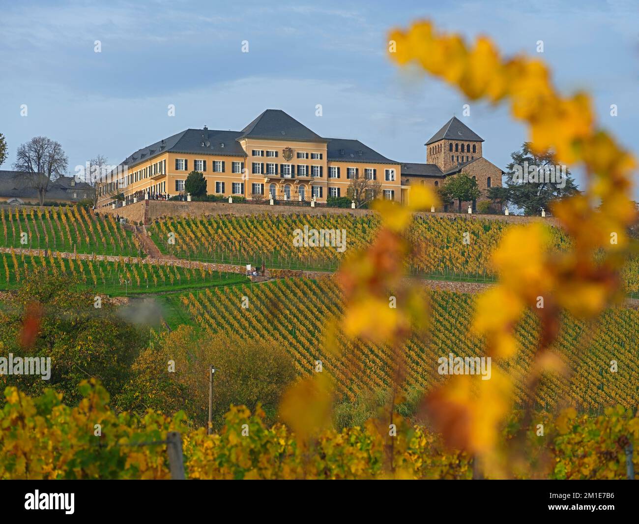 Johannisberg Castle, Winery, Riesling Cultivation, Geisenheim, Rheingau ...