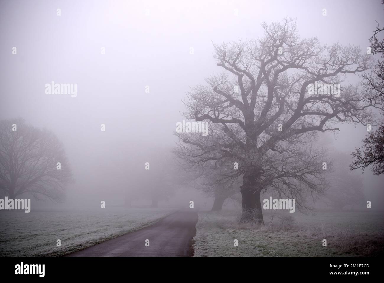 Cold spell cold snap hi-res stock photography and images - Alamy