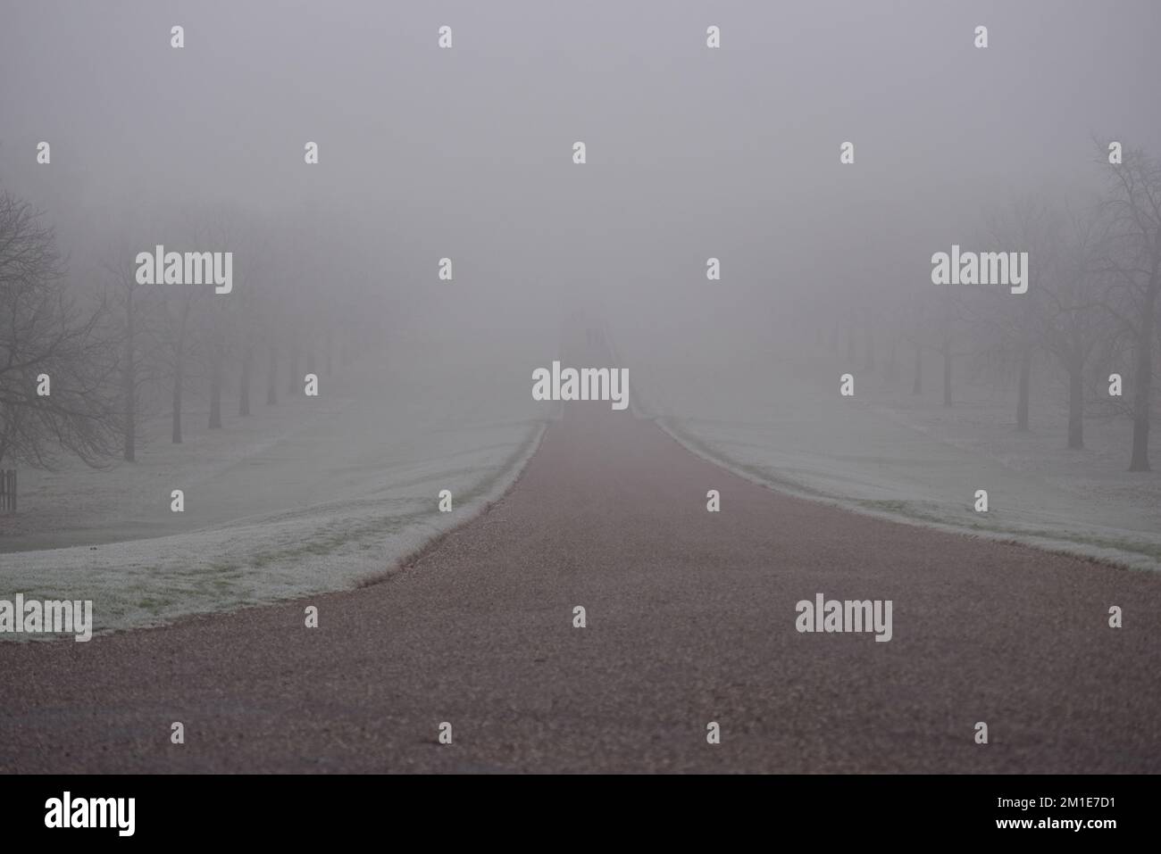 The long walk disappears into the mist on a cold morning in Windsor ...