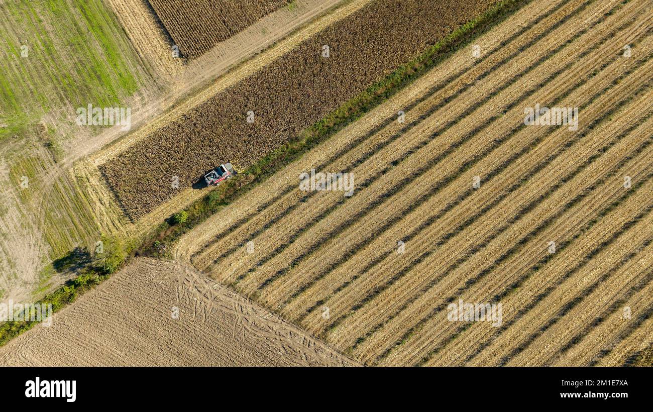 Farm field, farmers work with tractor on farmland Stock Photo - Alamy