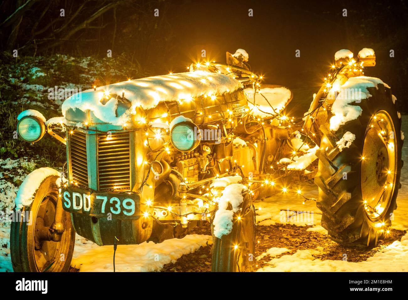 Christmas at Perrygrove Railway, Coleford Stock Photo - Alamy