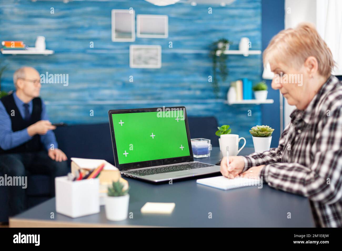 Confident senior woman using laptop Elderly woman working on computer ...
