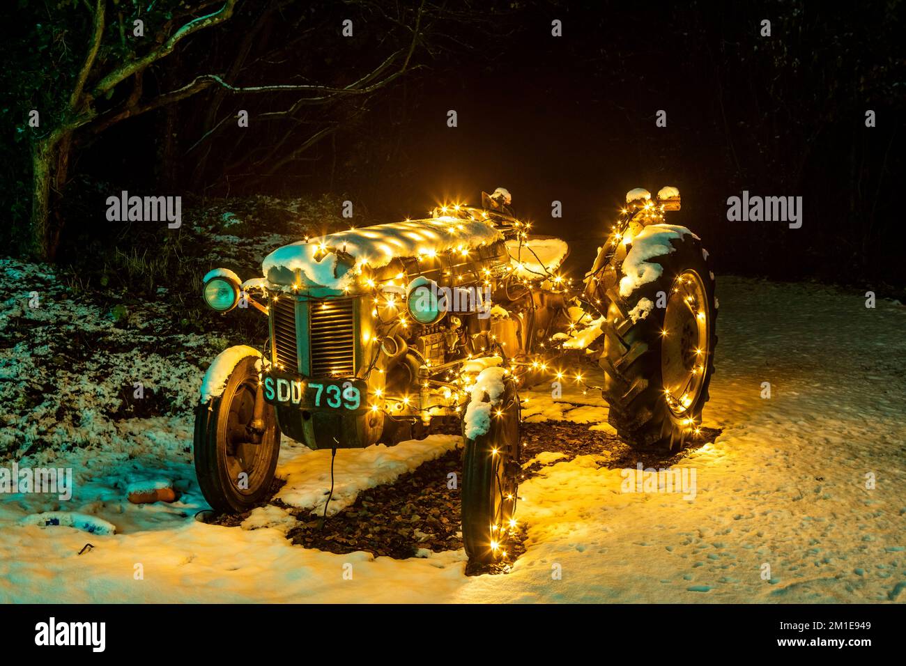 Christmas at Perrygrove Railway, Coleford Stock Photo - Alamy