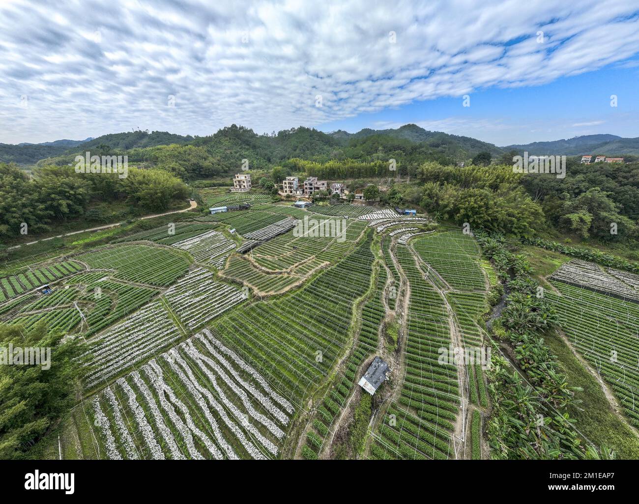 Aerial photo shows the rural scenery of Datong Village in Daoshui Town ...