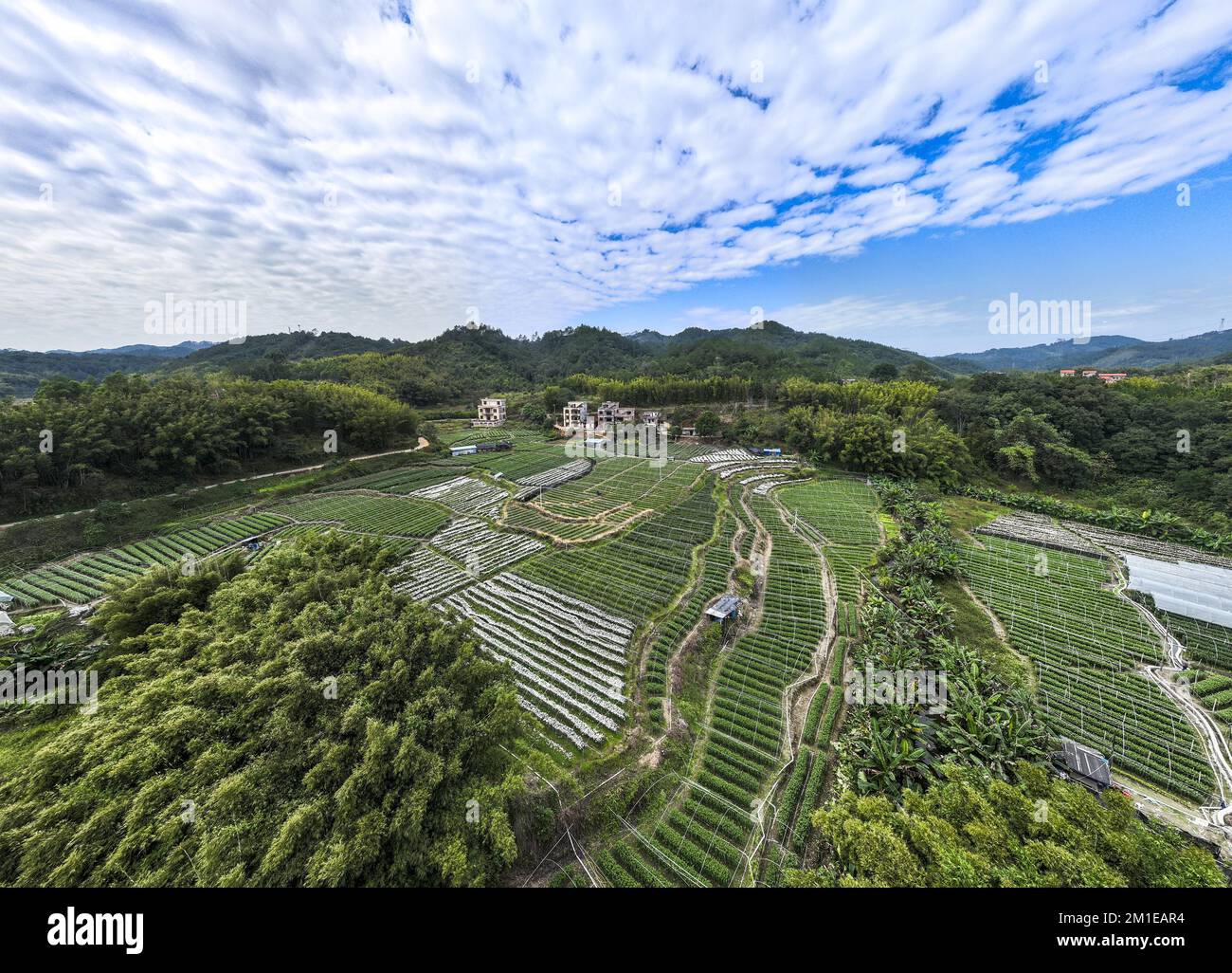 Aerial photo shows the rural scenery of Datong Village in Daoshui Town ...
