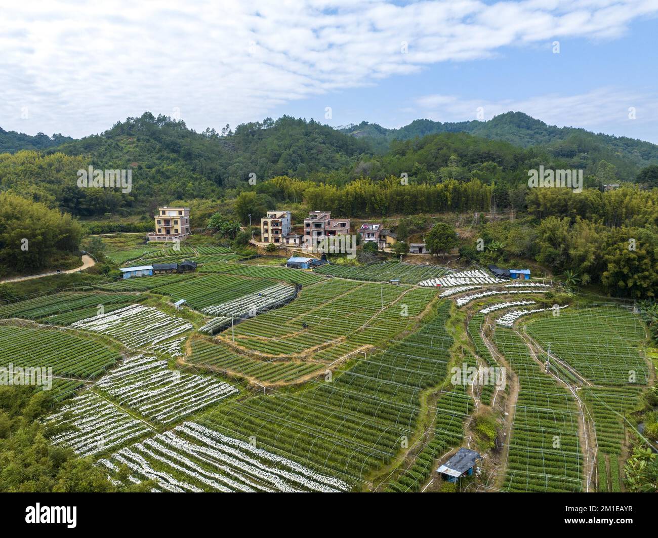 Aerial photo shows the rural scenery of Datong Village in Daoshui Town ...