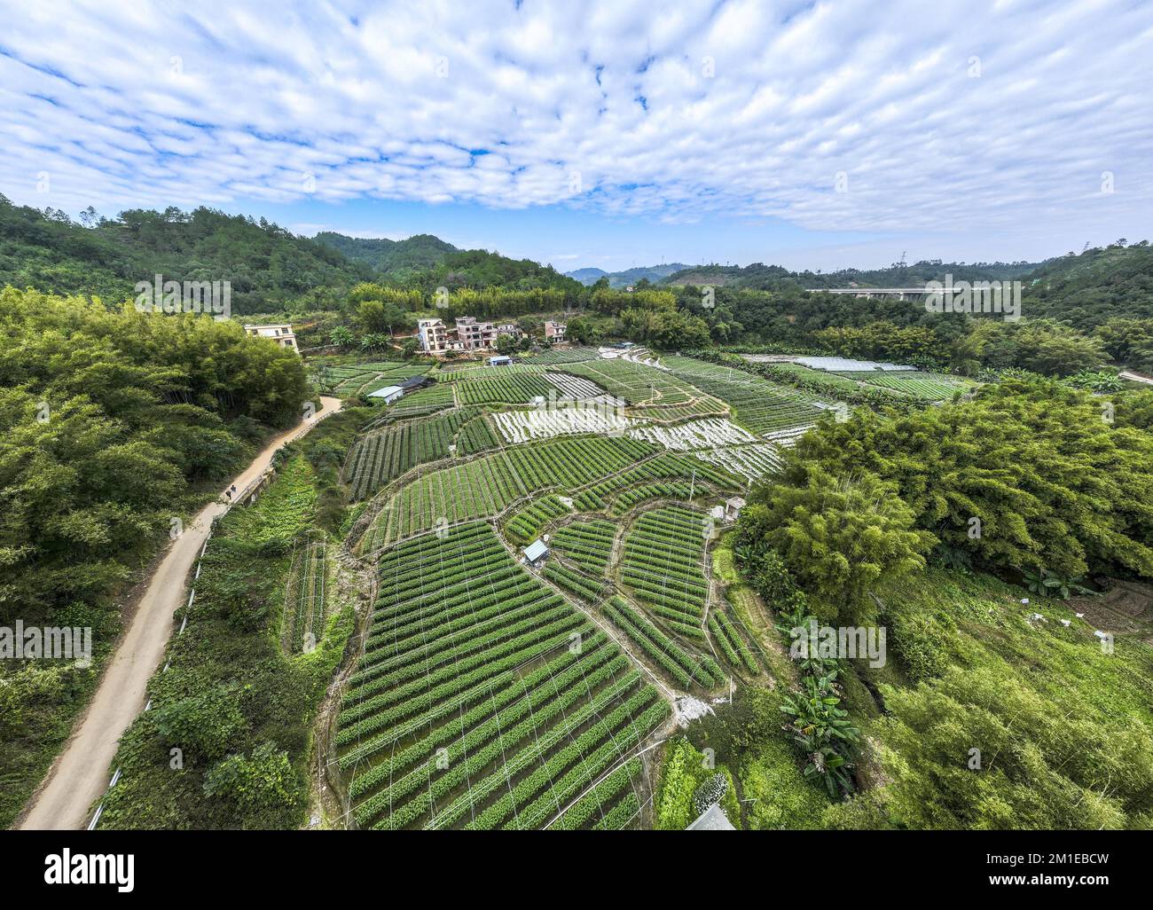 Aerial photo shows the rural scenery of Datong Village in Daoshui Town ...
