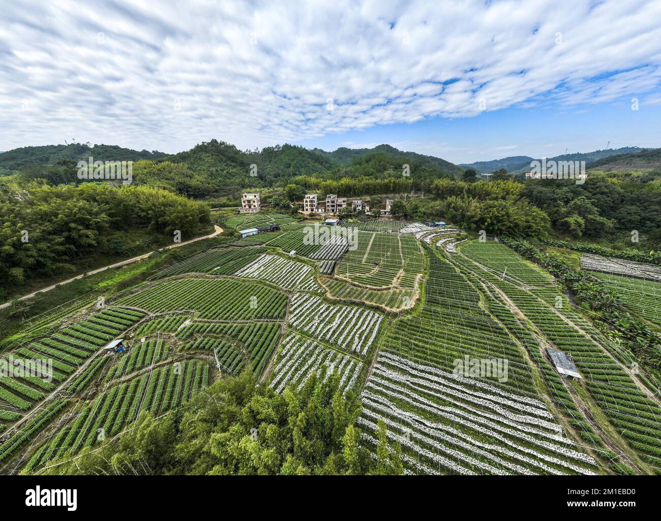 Aerial photo shows the rural scenery of Datong Village in Daoshui Town ...