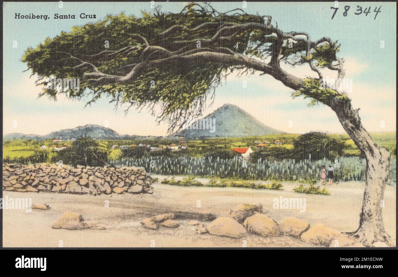Hooiberg, Santa Cruz , Trees, Mountains, Tichnor Brothers Collection ...
