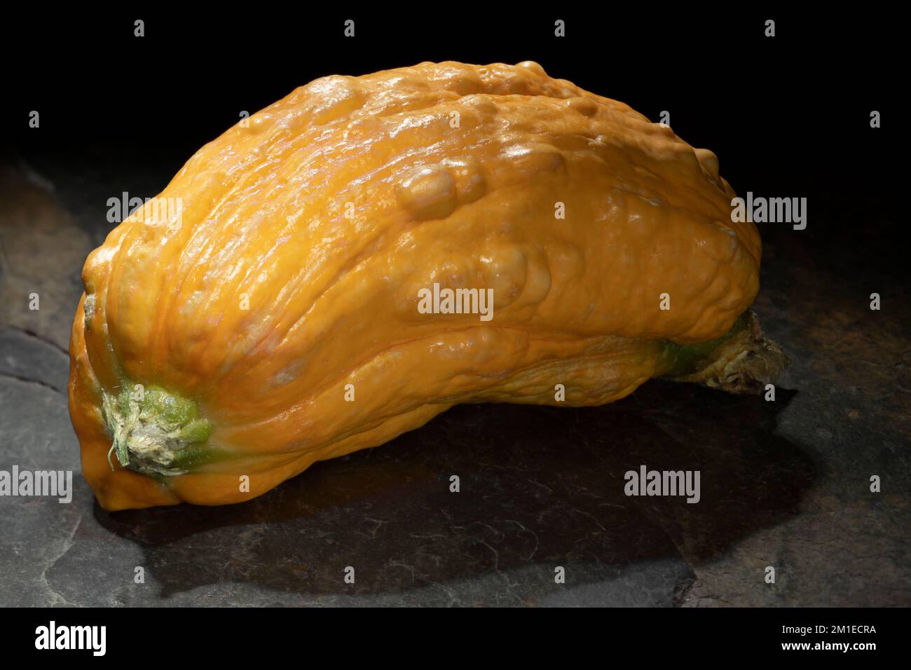 Short and fat yellow squash on a brown stone surface Stock Photo - Alamy