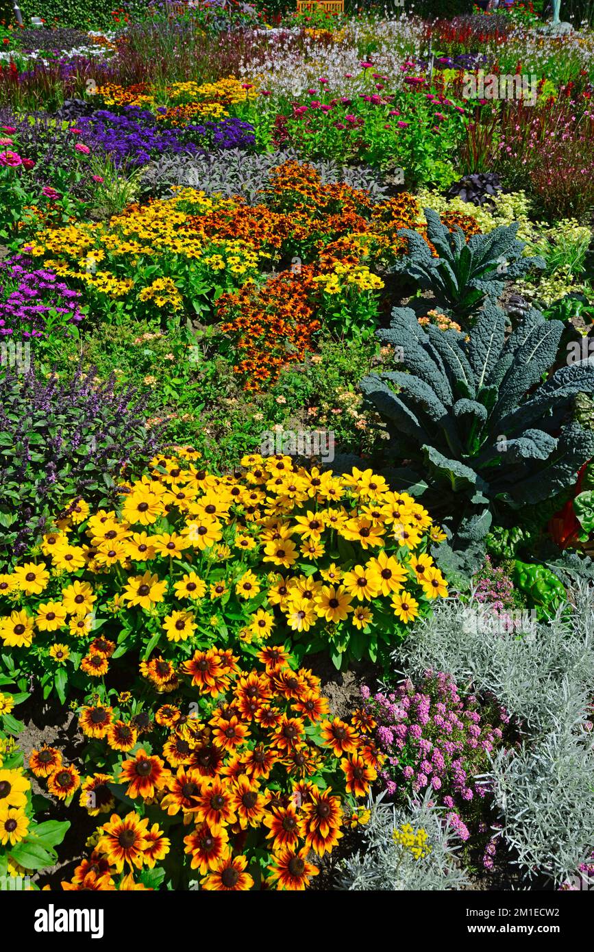 Beautiful and colorful annual flower garden, Grugapark Germany Stock ...