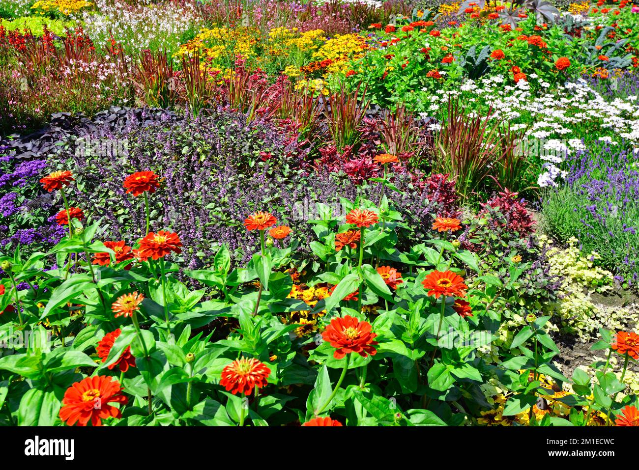 Beautiful and colorful annual flower garden, Grugapark Germany Stock ...