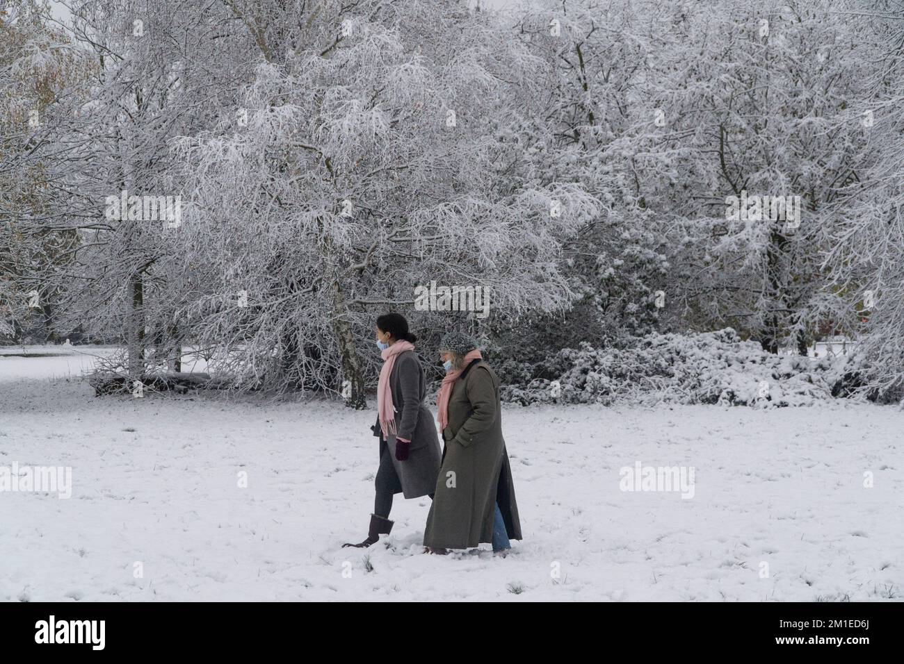UK weather, London, 12 December 2022: On Tooting Commons the trees and ...