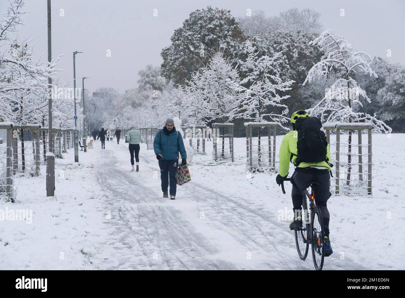 UK weather, London, 12 December 2022: On Tooting Commons the trees and ...
