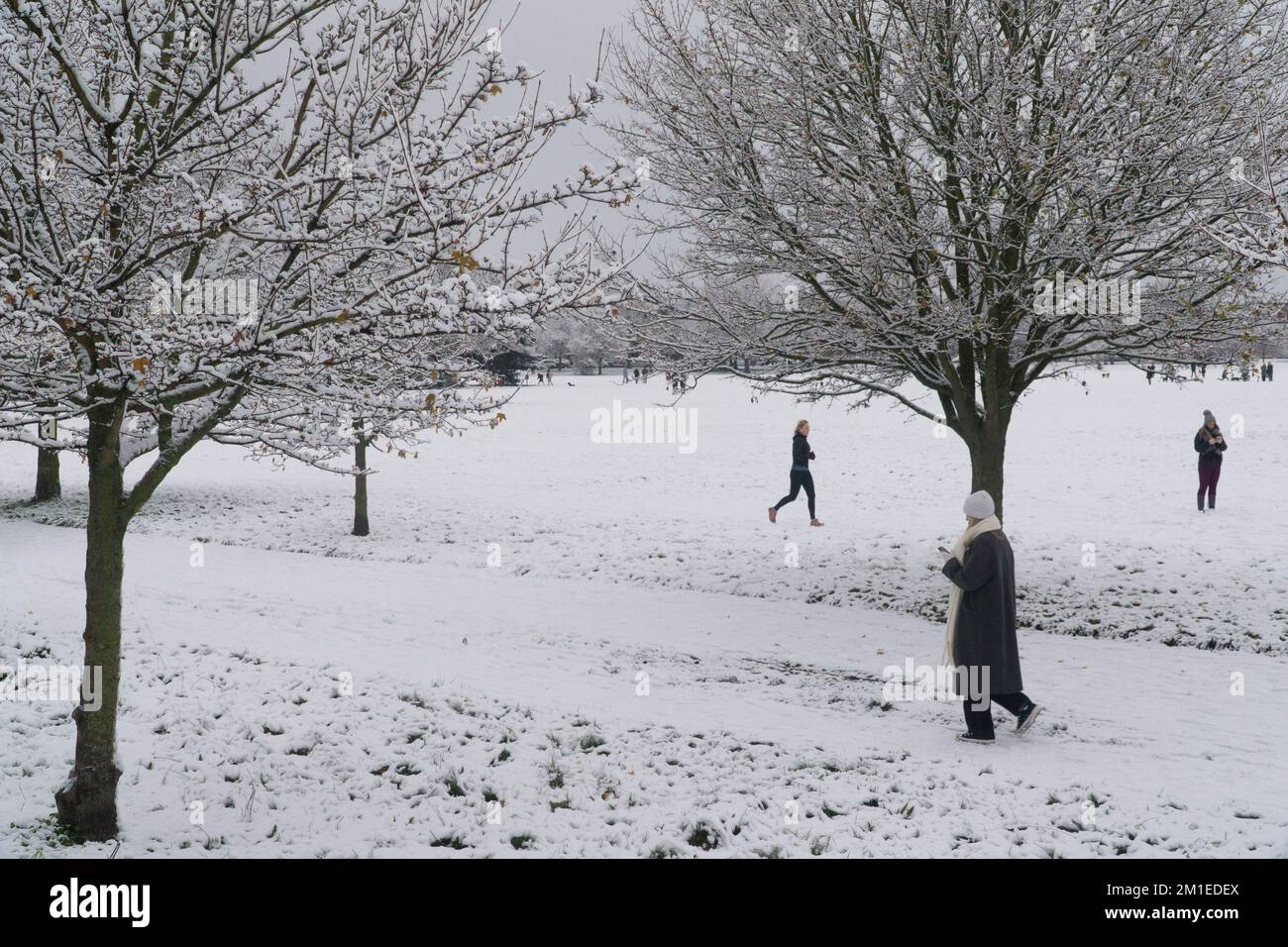 UK weather, London, 12 December 2022: On Tooting Commons the trees and ...