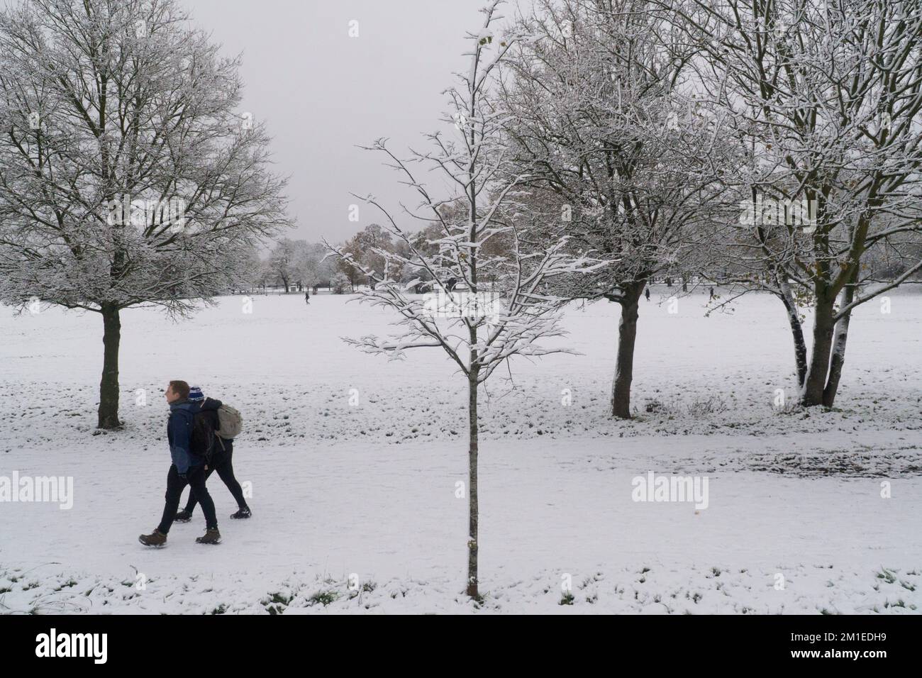 UK weather, London, 12 December 2022: On Tooting Commons the trees and ...