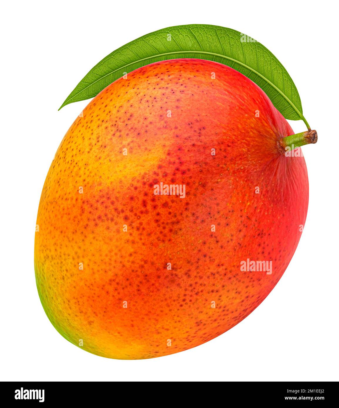 One mango hi-res stock photography and images - Alamy