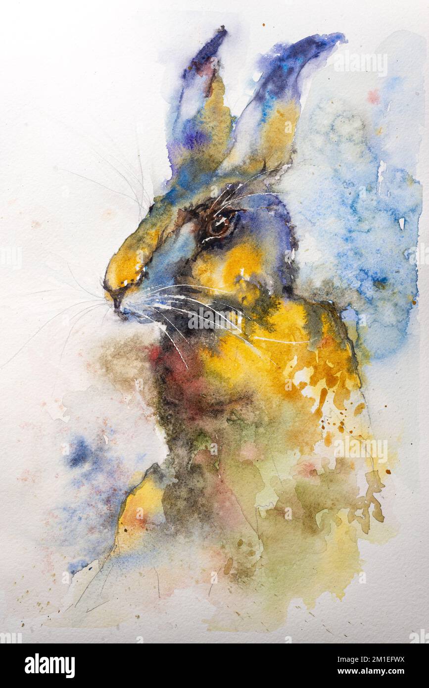 Hare Bunny portrait watercolor painting illustration adorable rabbit ...