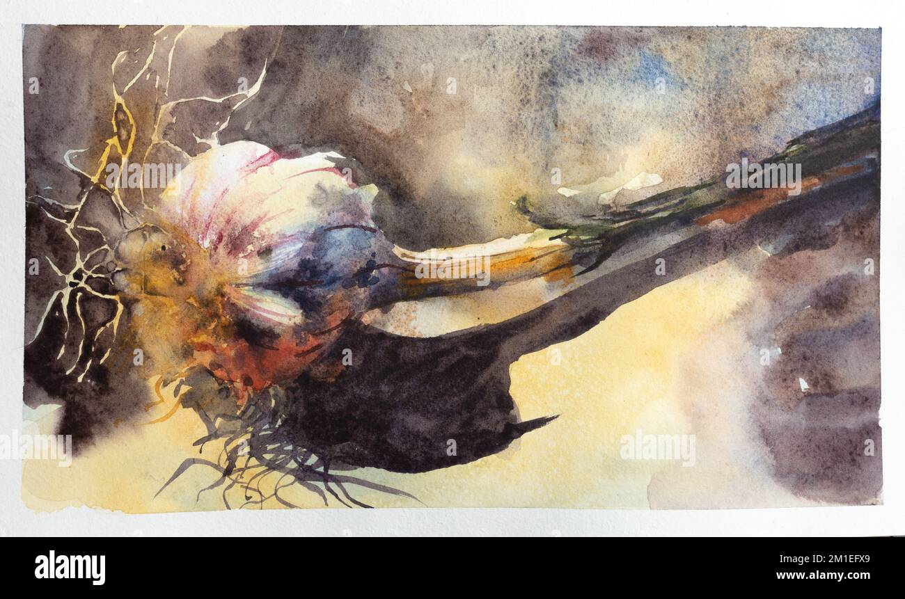 Root Vegetable Watercolor Painting Carrots In Watercolor